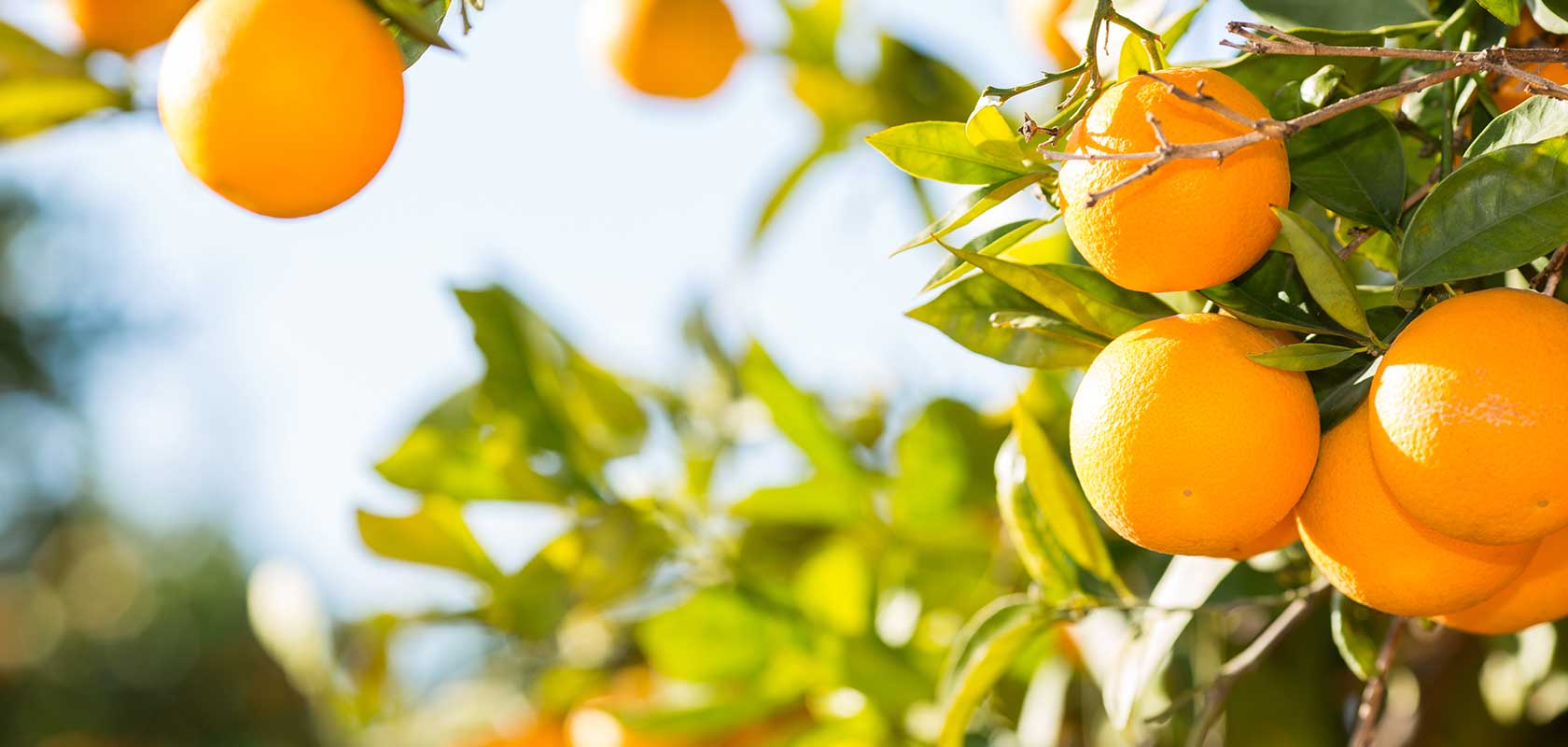 Explore Our Retirement Blog for Tips and Insights